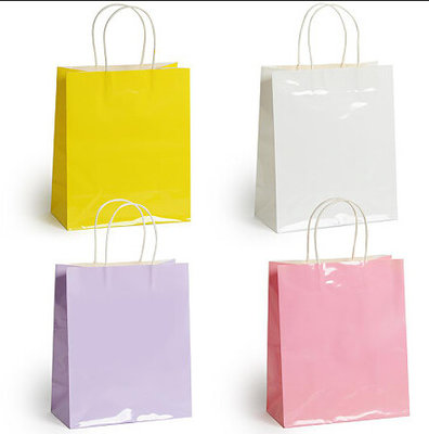 Fashion Fancy Elegant  Luxury Paper Shopping Bags with Diecut Handle / Ribbon