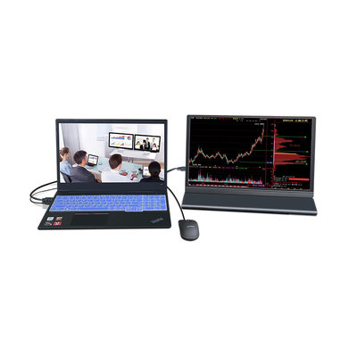 300cd/m2 High Resolution Portable Monitor 15.6 Inch For Laptop / Smartphone