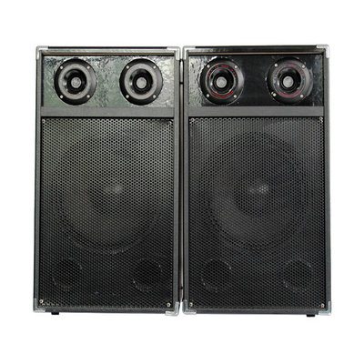 Professional Lightweight Portable Bluetooth PA Speakers System For Outdoor Dancing