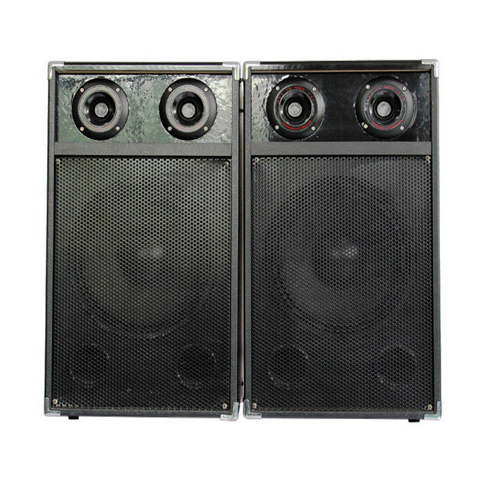 Professional Lightweight Portable Bluetooth PA Speakers System For Outdoor Dancing