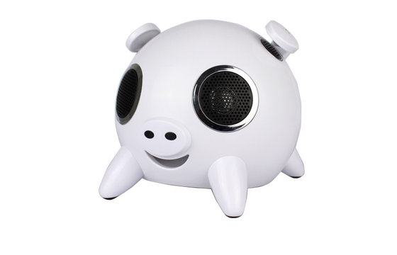 Bluetooth 2.1 Portable Speakers With Sd Card White Color For Laptop
