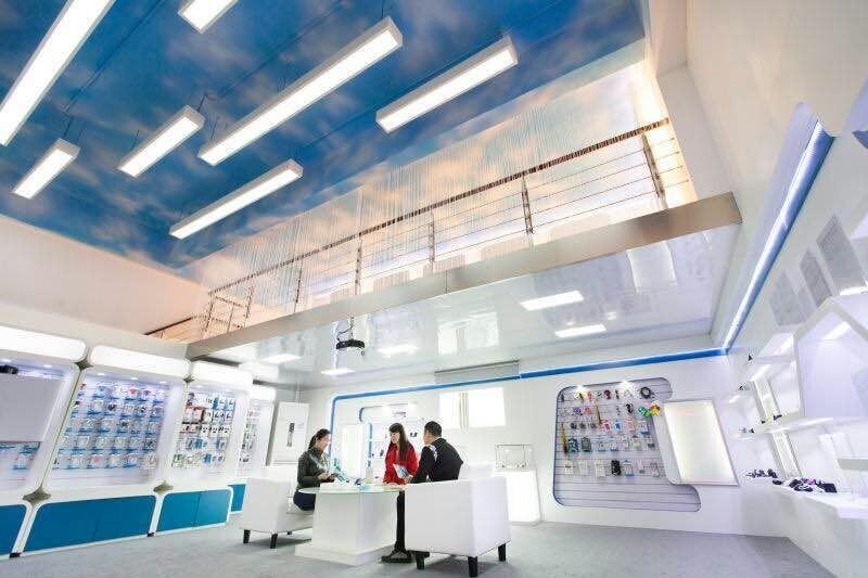 China MEI  SHUN HE ELECTRONIC LIMITED   company profile