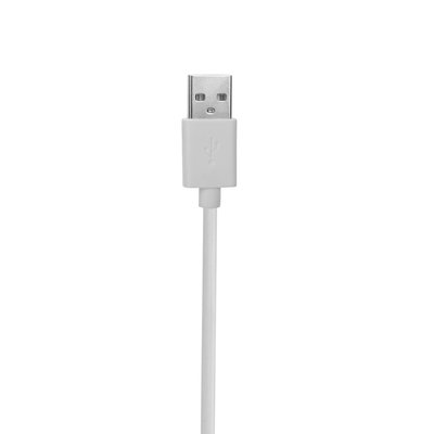 Custom Length MFI Certified Apple Lightning Cable To USB PVC / TPE Material