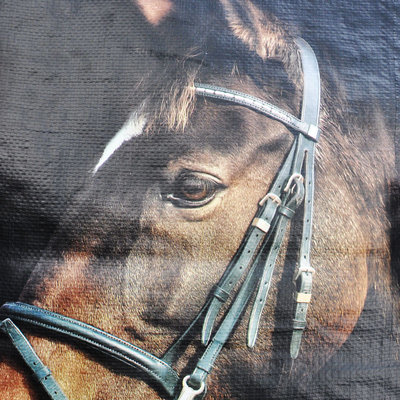 Biaxially Oriented Polypropylene Laminated Horse Feed Bag 15kg with Easy Open Mouth