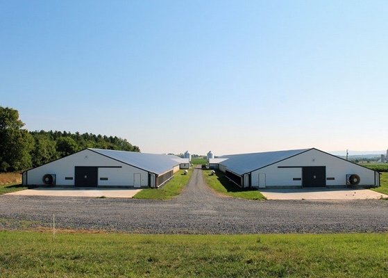 Modern Gabled Steel Structure Poultry House / Chicken Broiler House Easy Assembled