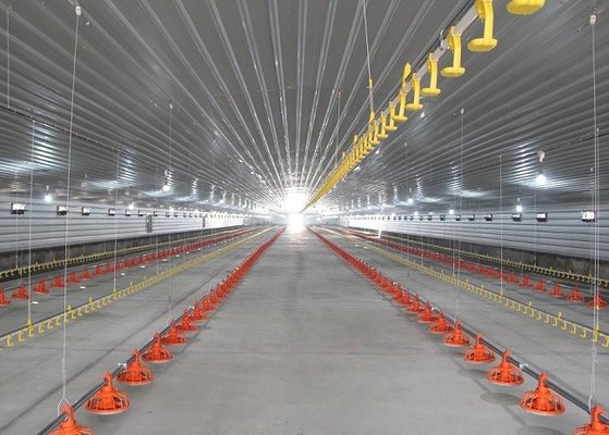 Modern Gabled Steel Structure Poultry House / Chicken Broiler House Easy Assembled