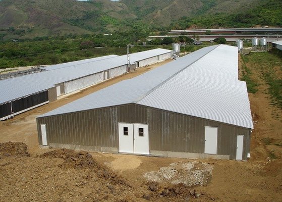 Prefab Light Steel Structure Poultry House Poultry Shed Construction With Control Room