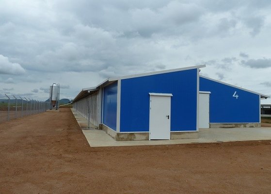 Pre - Engineered Steel Chicken Houses Gabled Steel Structure With Feed Box