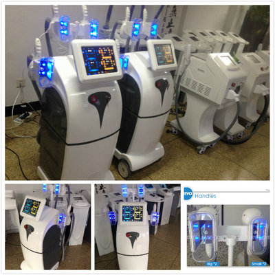 Vacuum Cryolipolysis Fat Freeze Body Shaping Machine With 4 Handpieces