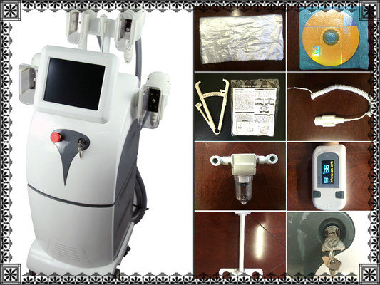 Female Cryolipolysis Body Slimming Machine 2000W For Body Shaping