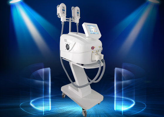 RF Portable Vacuum Cryolipolysis Weight Loss Equipment Slimming Machine  800W Fat Freeze Treatment