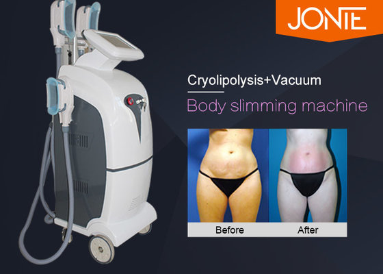 Four Handles Portable Cryolipolysis Facial Machines For Full Body Slimming Face Lifting