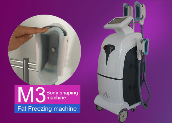 Four Handles Slimming Beauty Machine  / Weight Reduction Equipment