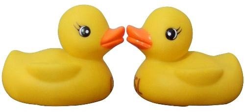 Yellow ducky
