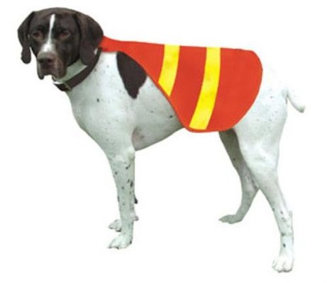 Pet Safety Vest