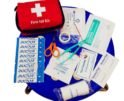 Emergency Preparedness First Aid Kit