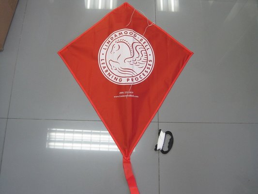 190T polyester promotion kite, parafoil kite