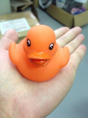 color changing duck