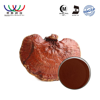 100% Natural Organic Reishi Spore Powder , Lingzhi Maitake Mushroom Extract