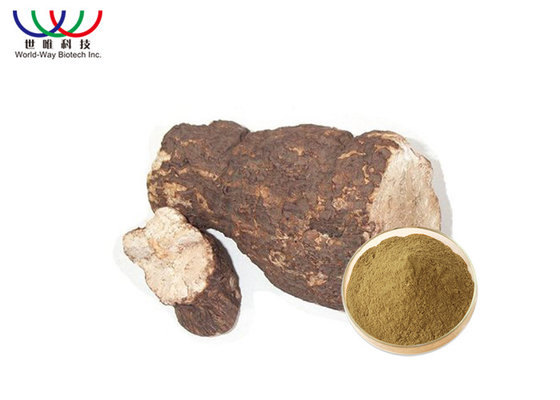 Pure Poria Cocos Sclerotium Extract , Lowering Blood Sugar Poria Cocos Powder