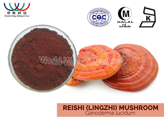 Organic Lingzhi Mushroom Extract , Pharmaceutical Grade Red Reishi Extract