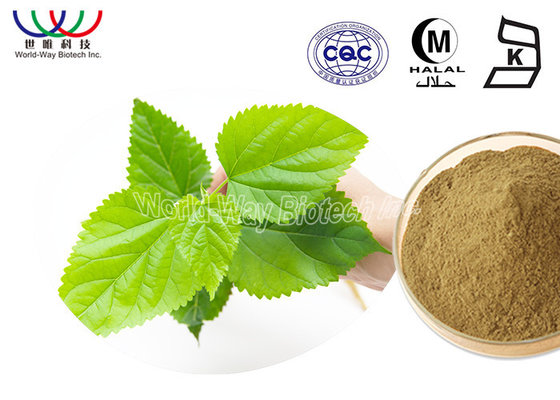 Organic Mulberry Leaf Extract , Mulberry Extract For Skin Lightening Anti - Aging