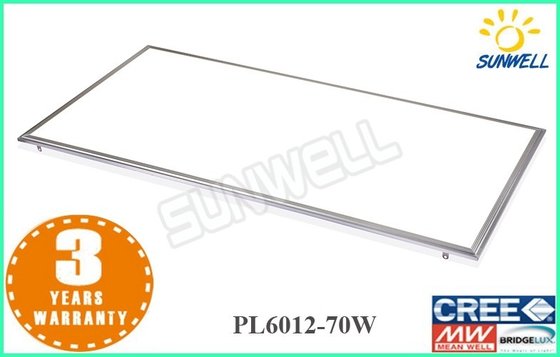 Cool White 6600lm Led Flat Panel Lighting  70w 600 x 1200 mm Wall Panel Light for restaurants
