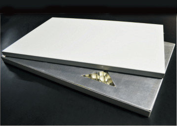 Suspension Aluminum Honeycomb Panel PVDF coated For fasade system / wall Decoration