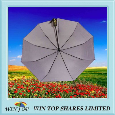 Chinese Super Luxury Full Auto Folding Umbrella supplier