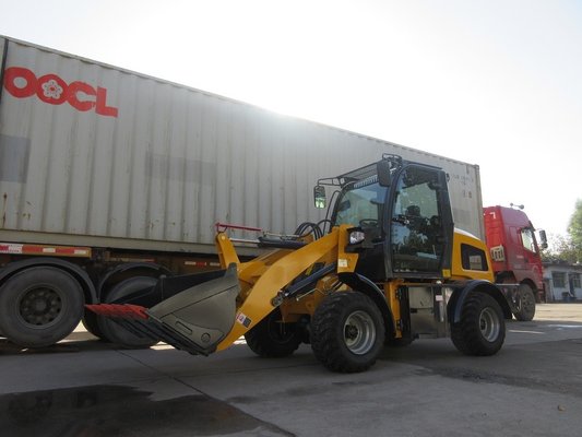 Hydraulic and Mechanical available mini hoflader euroiii engine