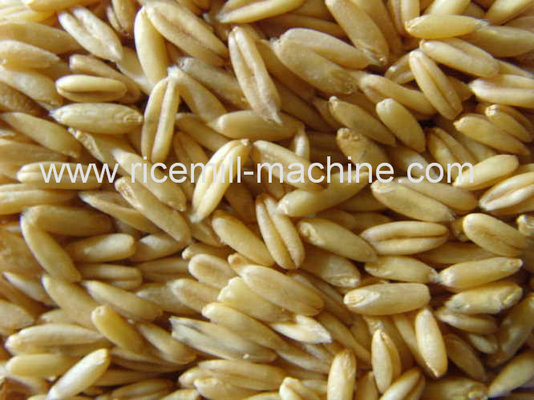 Round Shaped Rice Color Sorter Machine , Glutious Rice Colour Sorter Machine