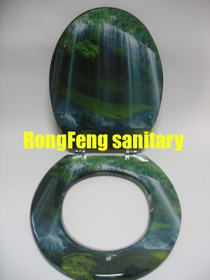 poly-toilet seat,17'18'19',zinc alloy hinge,S/S hinge,soft close hinge,color printed picture.