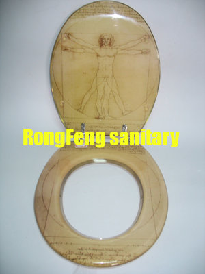 resin toilet seat,17'18'19',zinc alloy hinge,S/S hinge,soft close hinge