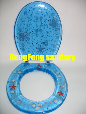 sea star shell toilet seat