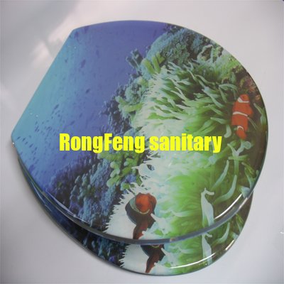 resin toilet seat ,18',round,enlong,color,