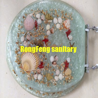 US standard polyresin toilet seat