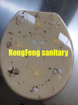 sanitary ware MDF,WOOD,MOULD toilet seat,,shower room,shower rose,sanitary applance,sanitary fittings
