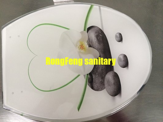 color toilet seat,sanitary ware,bathroom,