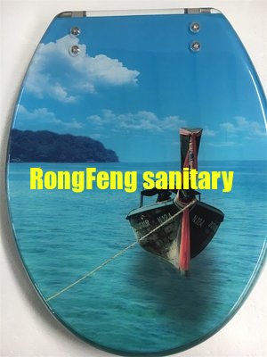 inner paper design tranparent  polyresin  toilet seat with Zinc alloy hinge