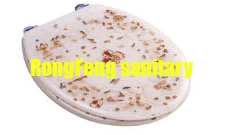 poly-resin toilet seat cover,decor toilet seat,tranparent toilet seat