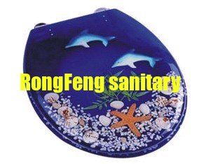 poly-resin toilet seat cover,decor toilet seat,tranparent toilet seat