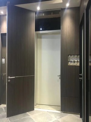 Top quality  Modern hidden room door