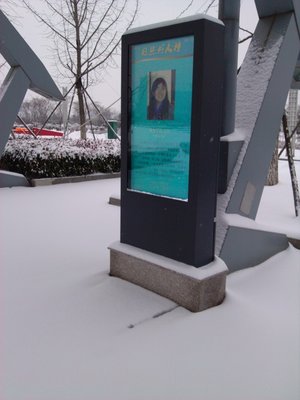 Outdoor wall mount advertising lcd display