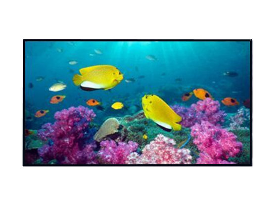 High Resolution HD CCTV Monitor