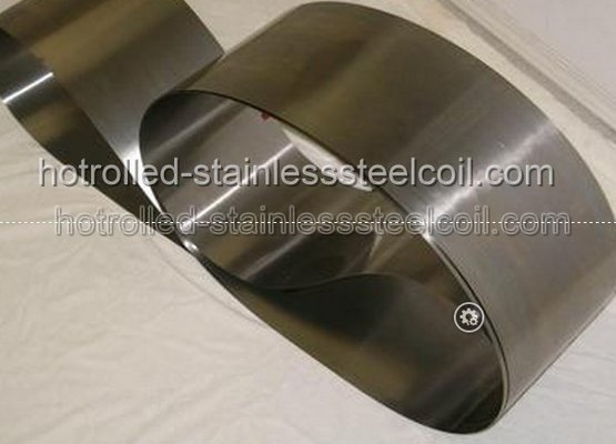 OEM 201, 202, 304, 304L, 316 Stainless Steel Strips for medical industry