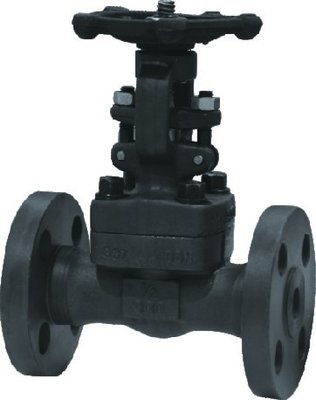 Forged steel flanged RF gate valve A105 N