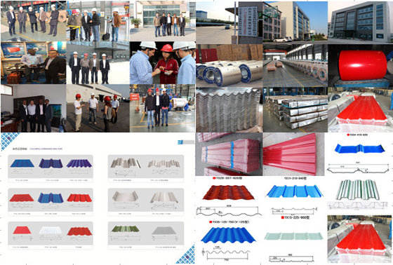 prepainted steel coil