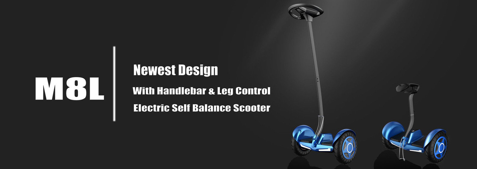 quality Self Balancing Scooter factory