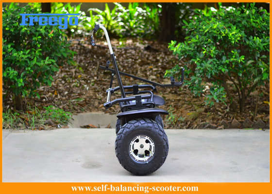 Custom Segway 2 Wheel Self Balancing Electric Standing Scooter for CE approval