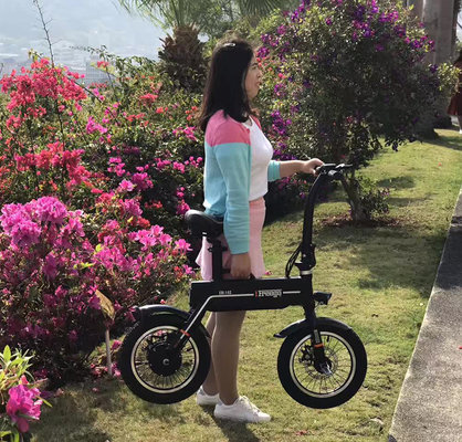 Disc Brake Folding Electric Scooter 350W / 500W With CE / ROHS